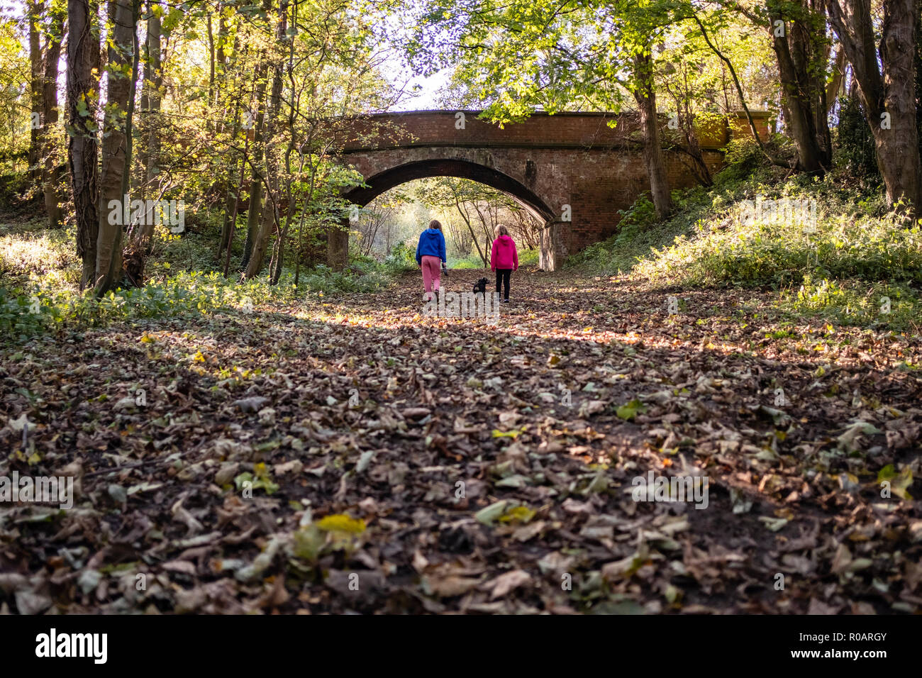 Scarborough arms hi-res stock photography and images - Alamy