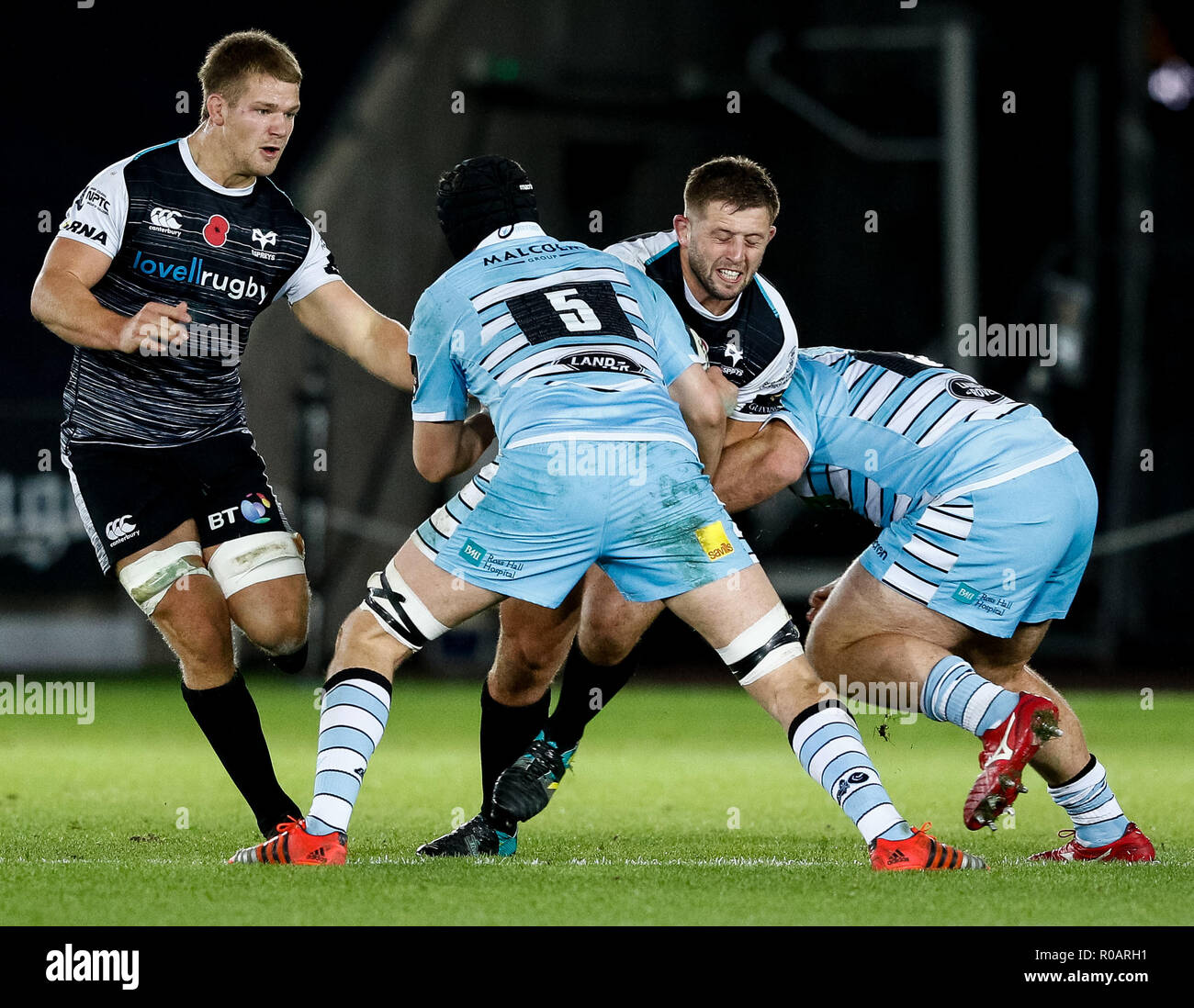 Scott otten ospreys hi-res stock photography and images - Alamy