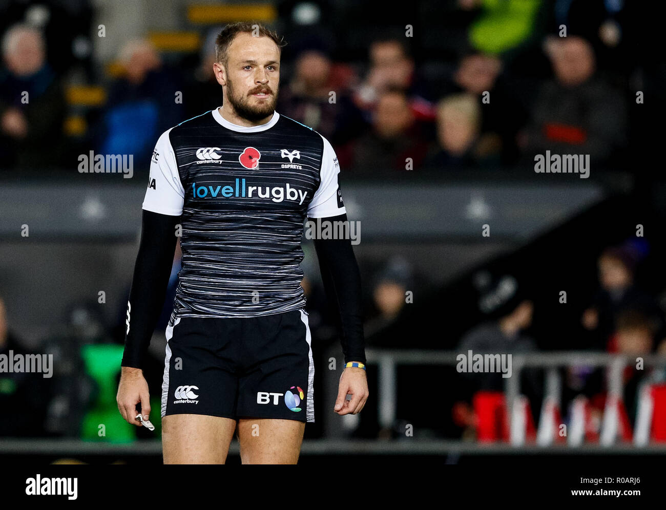 Cory allen of ospreys hi-res stock photography and images - Alamy