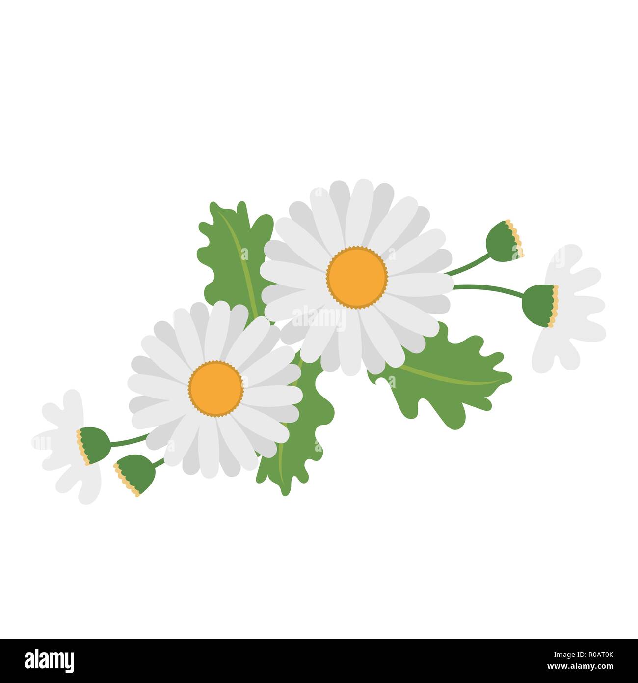 Daisy vector Stock Vector Images - Alamy