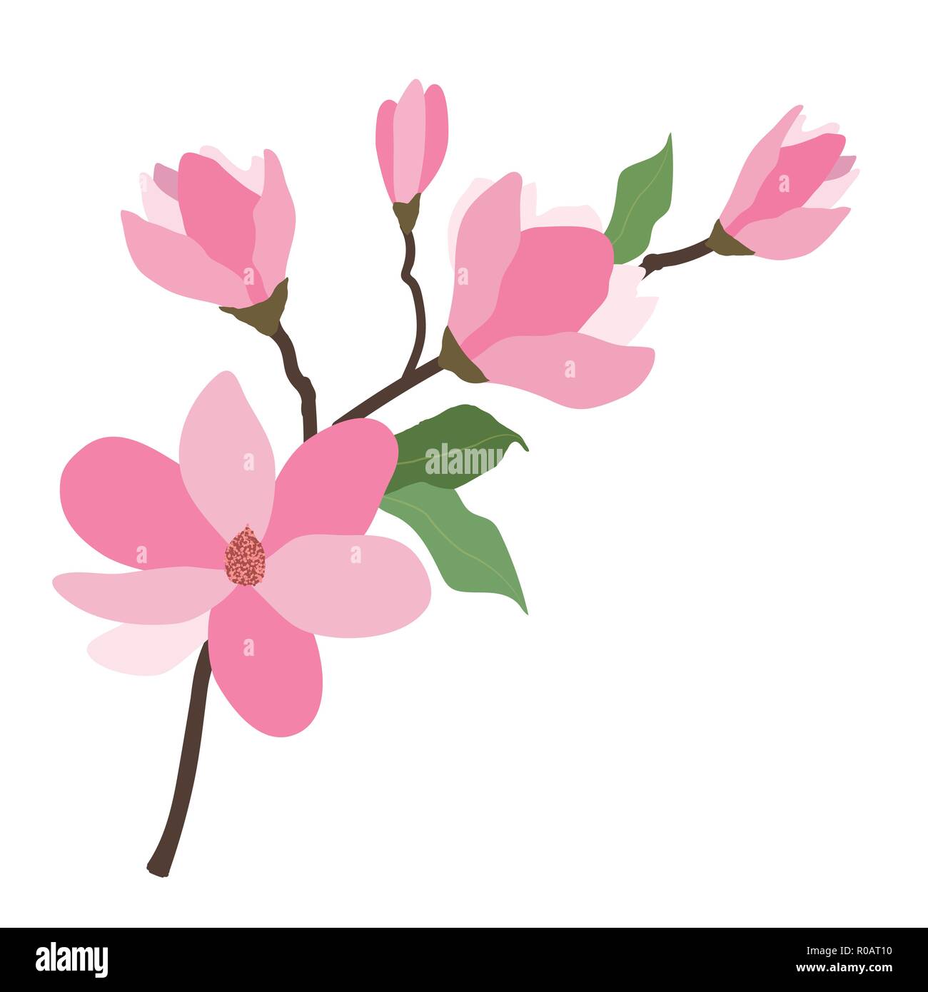 Nature flower pink magnolia, vector botanic garden floral leaf plant ...