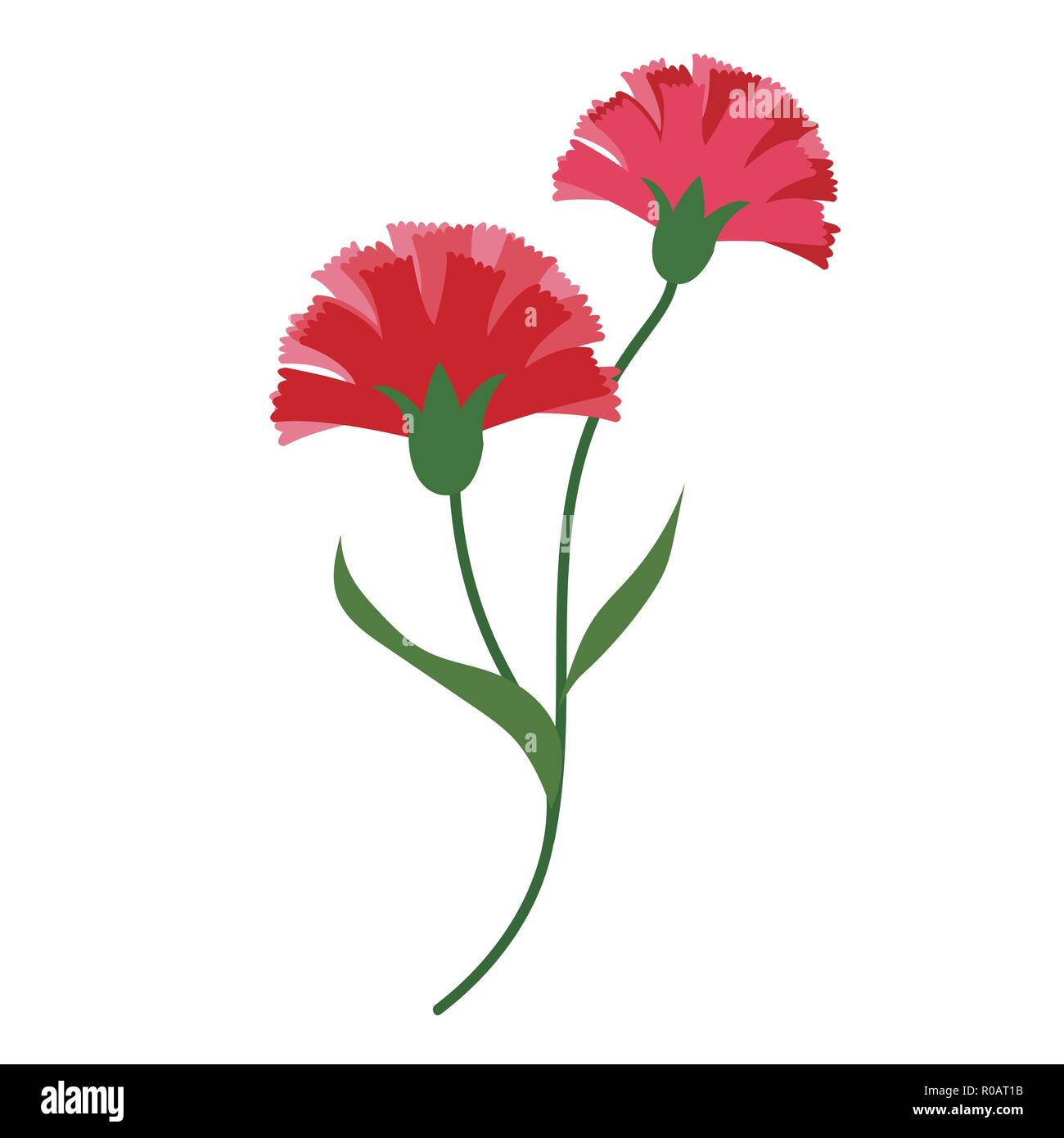 Nature flower red carnations, vector botanic garden floral leaf plant ...