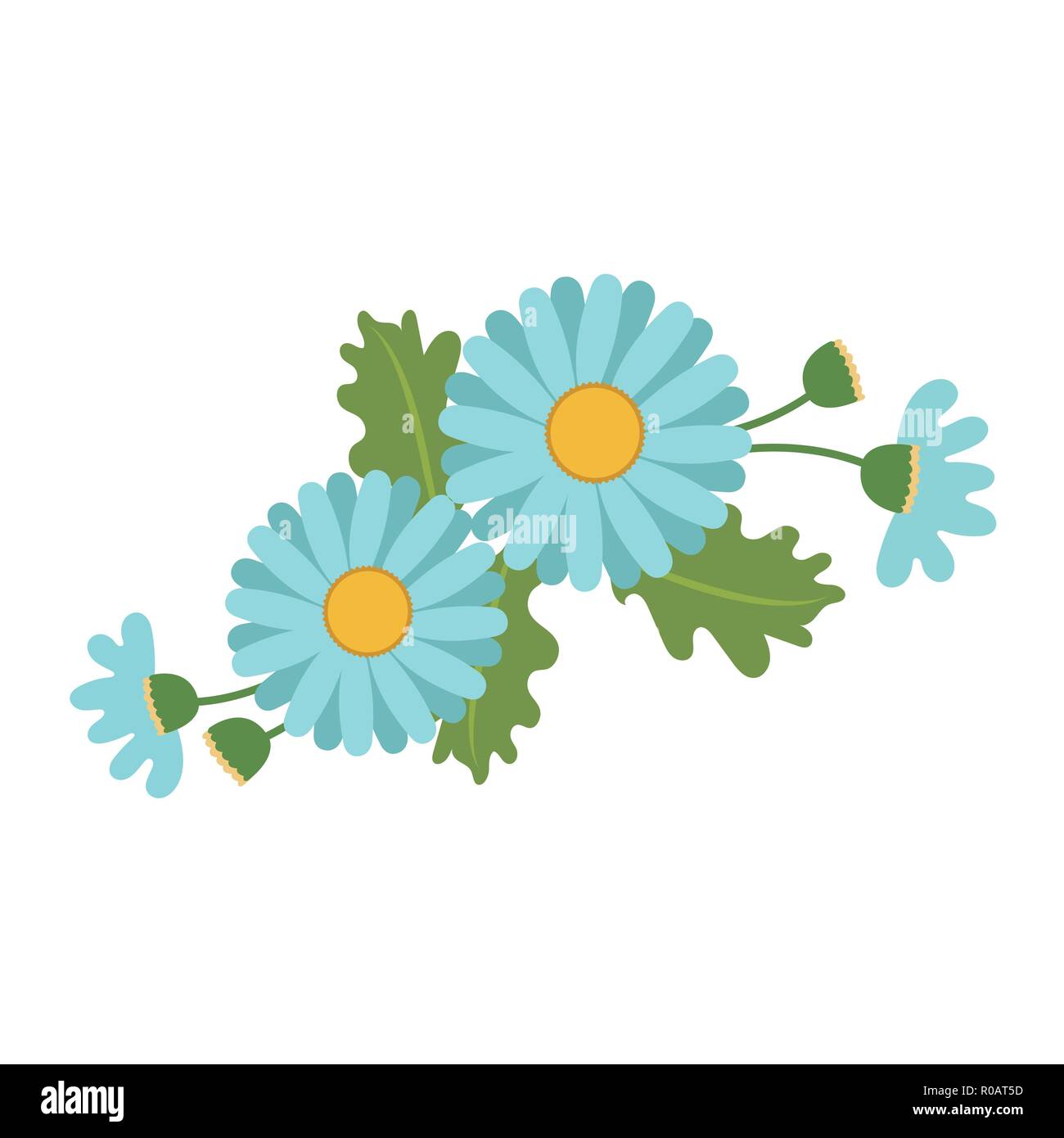 Nature flower light blue daisy, vector botanic garden floral leaf plant ...