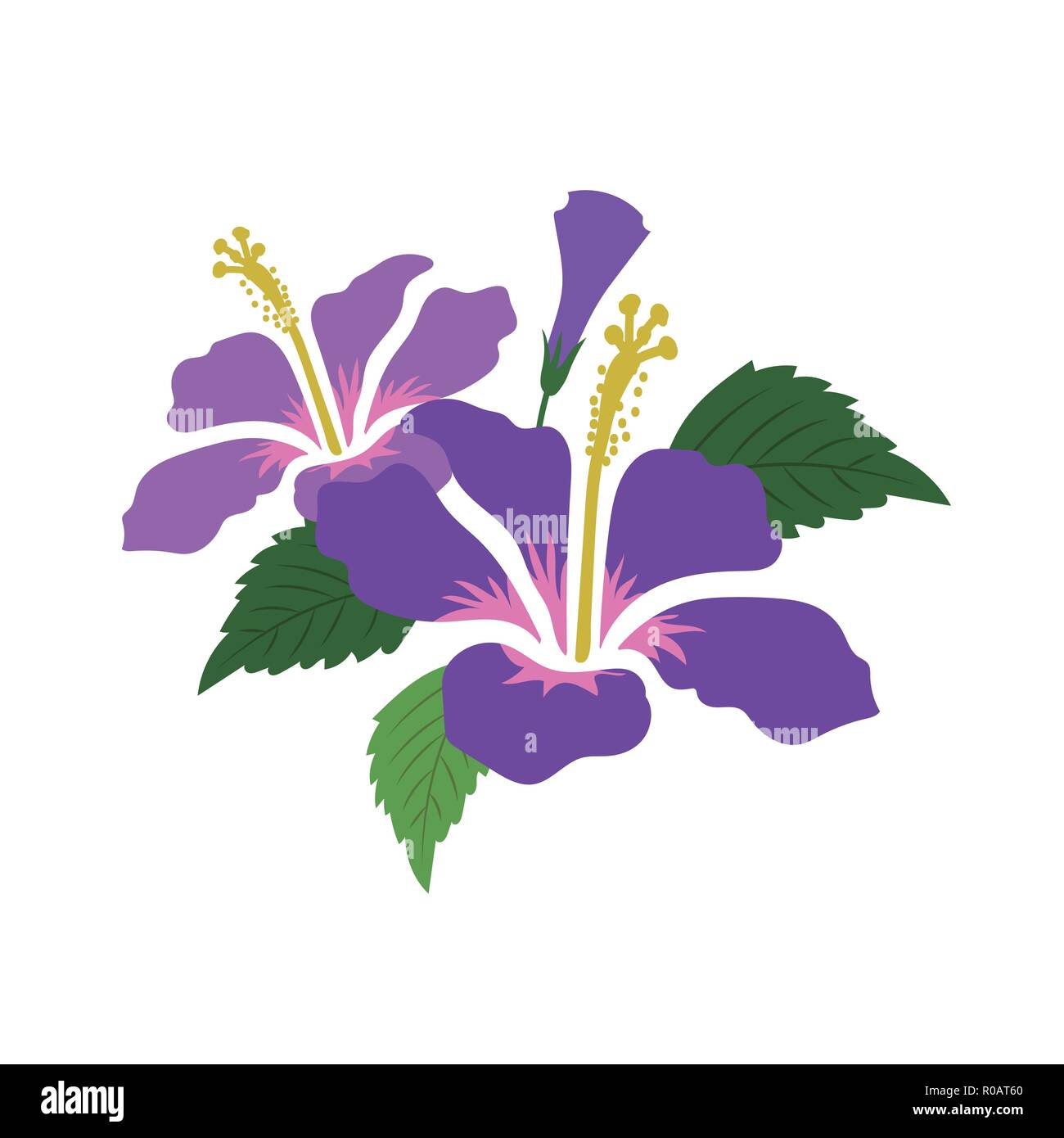 Purple hibiscus flower Stock Vector Images - Alamy