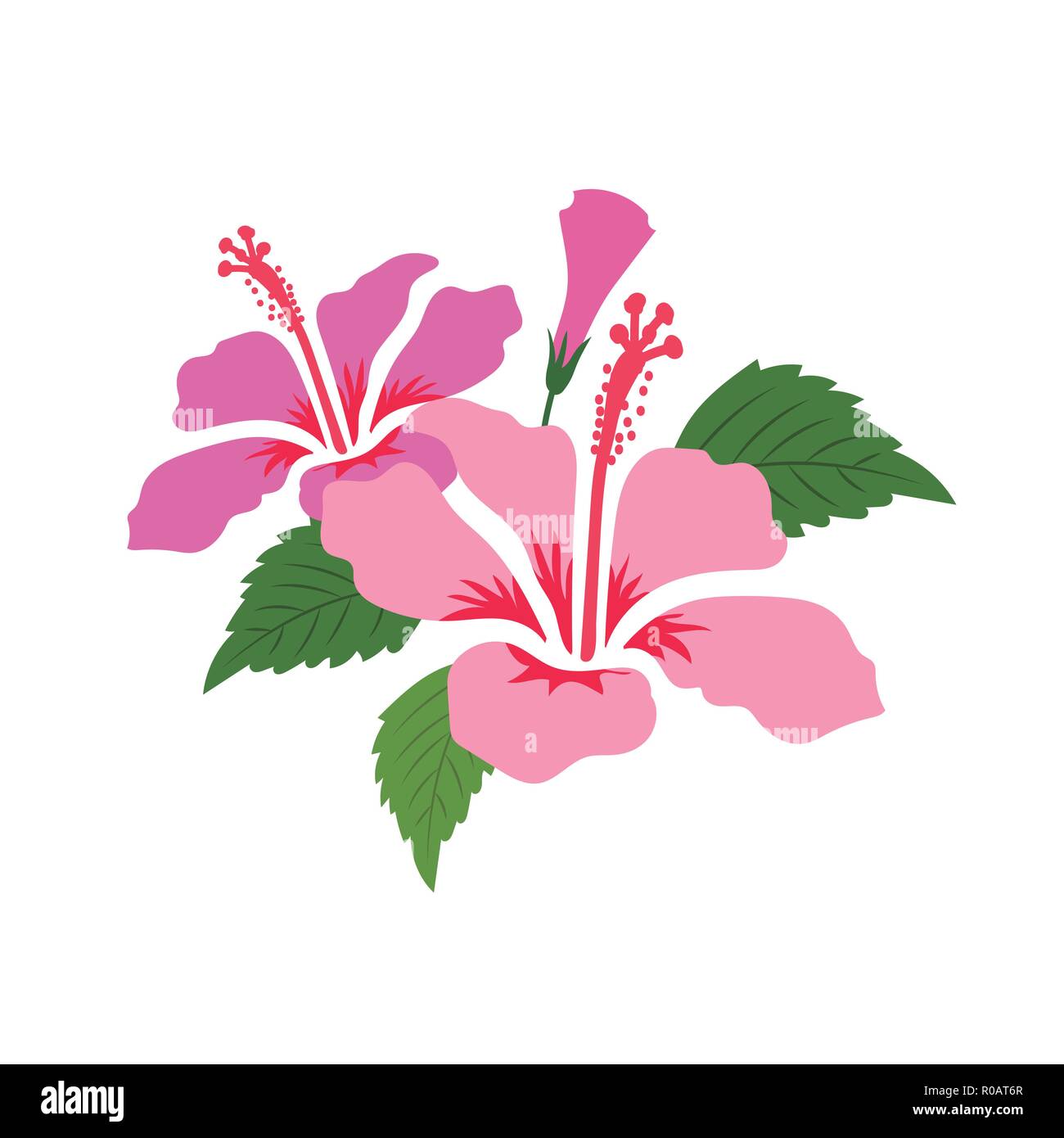 Nature flower pink hibiscus, vector botanic garden floral leaf plant ...