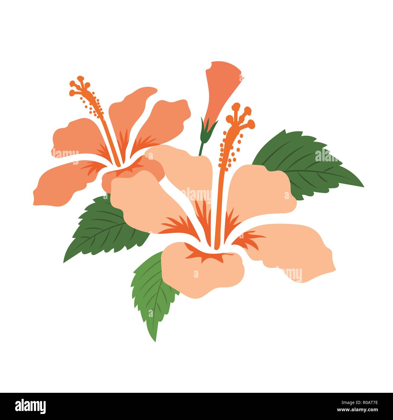 Nature flower orange hibiscus, vector botanic garden floral leaf plant ...