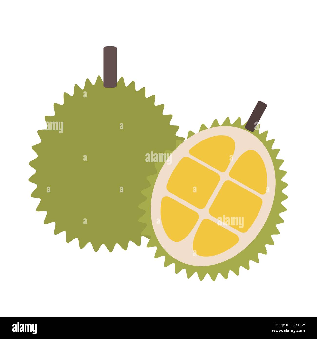 Healthy organic durian, colorful tropical nature fresh fruit objects ...