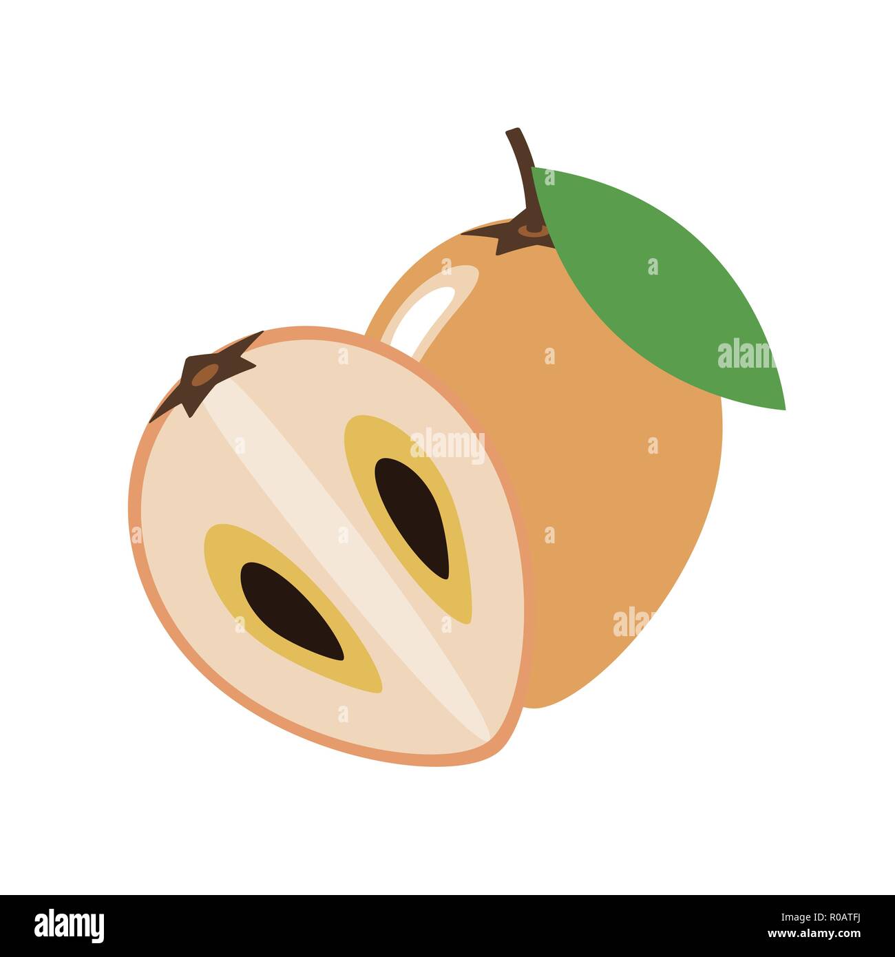 Healthy organic sapodilla chiku, colorful tropical nature fresh fruit ...