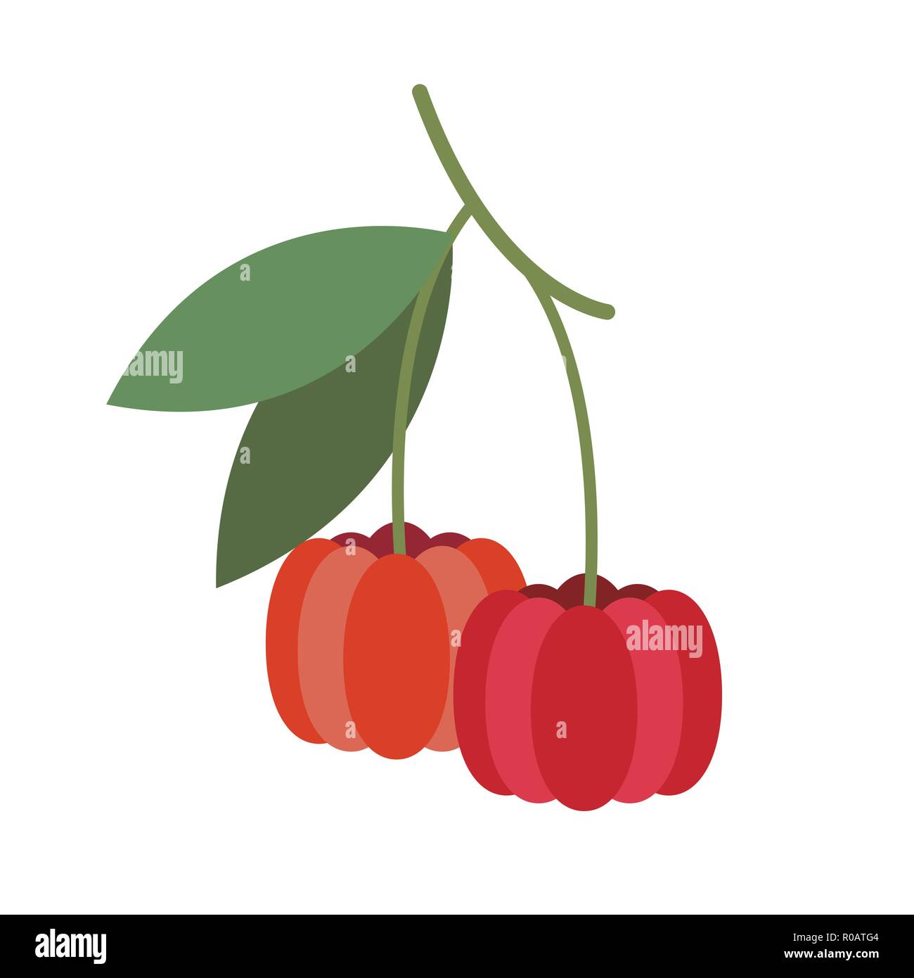 Healthy organic pitanga, colorful tropical nature fresh fruit objects ...
