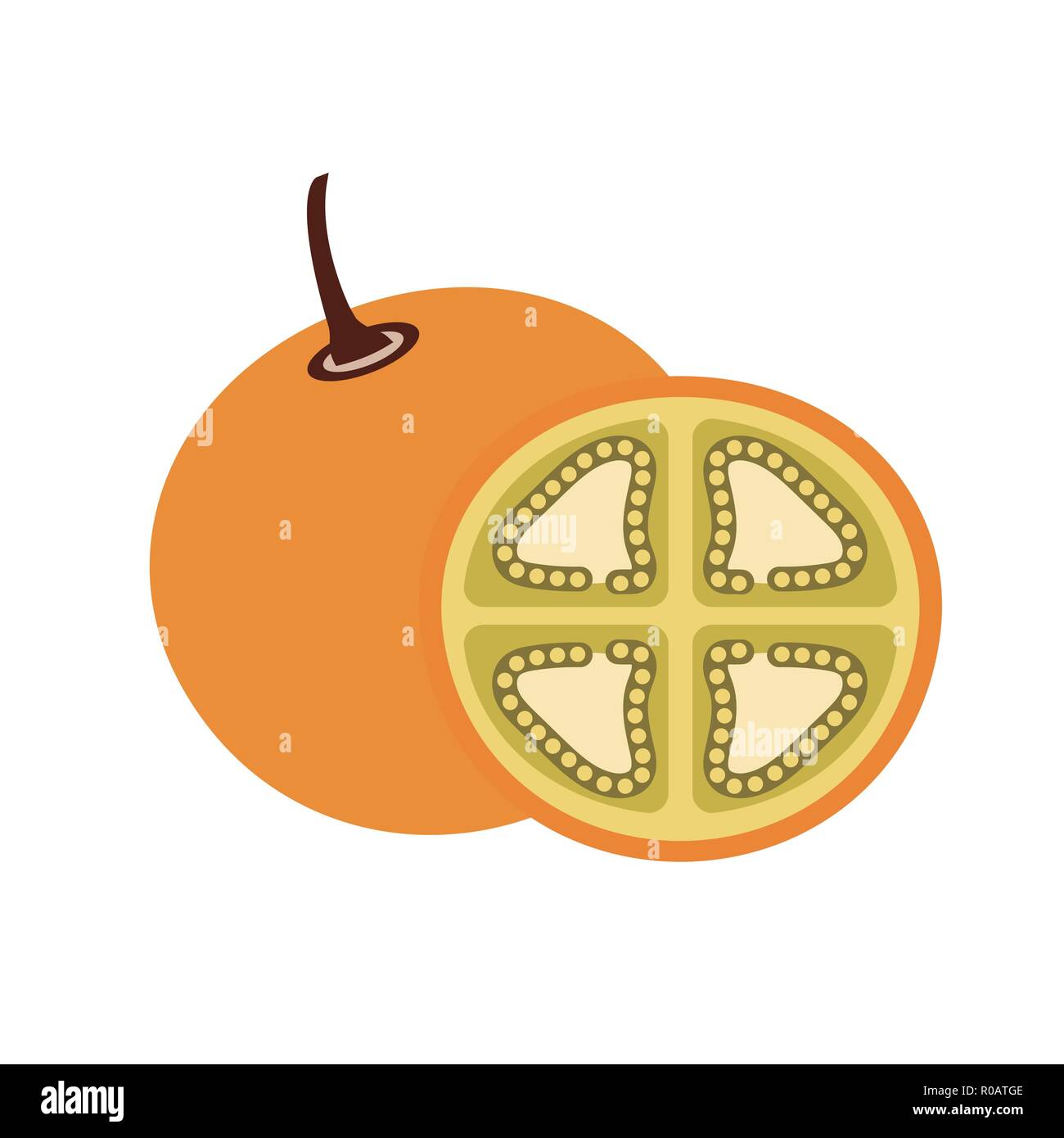 Healthy organic lulo Solanum quitoense, colorful tropical nature fresh fruit objects Stock ...