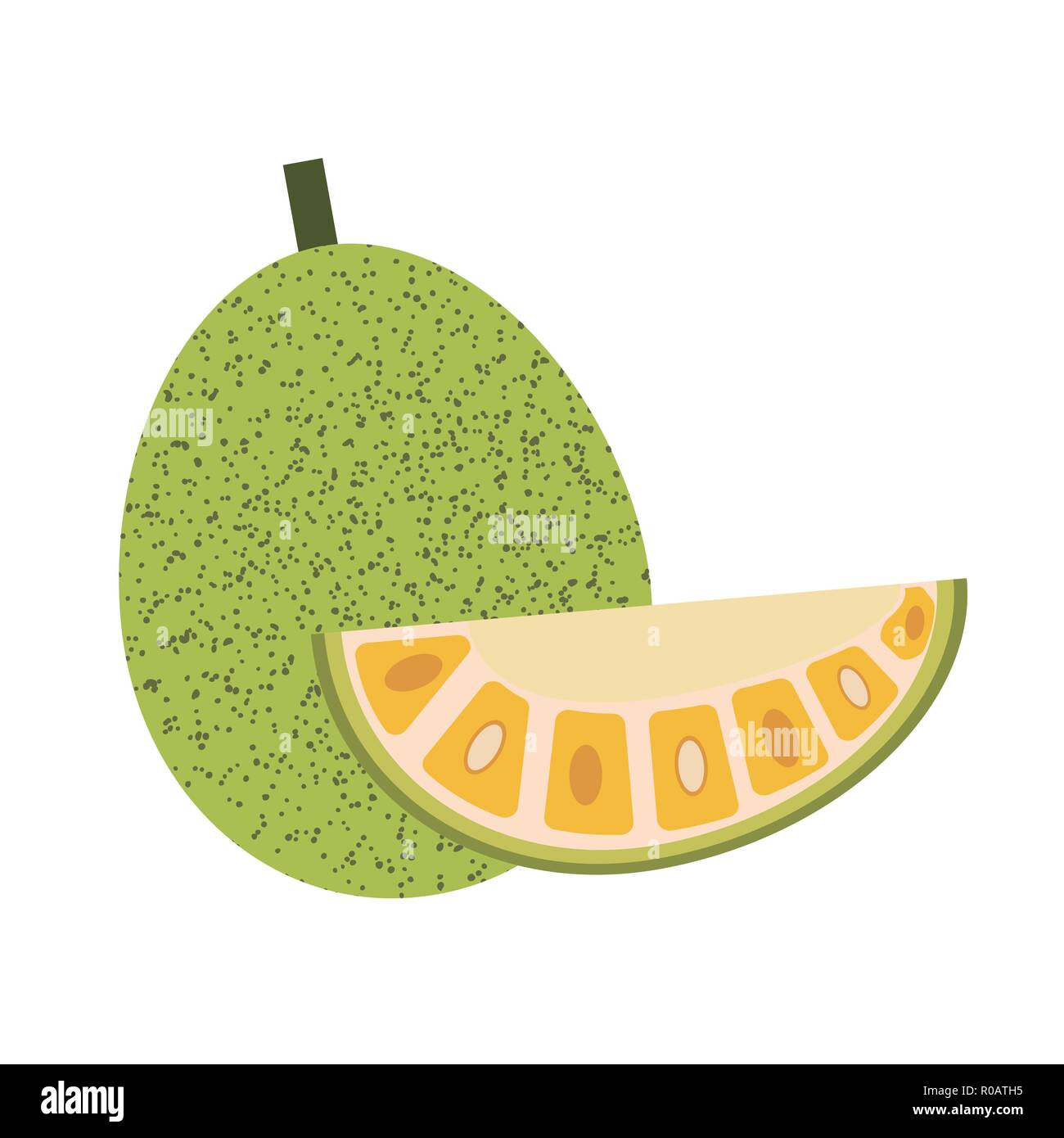 Jackfruit Pattern Stock Vector Images - Alamy