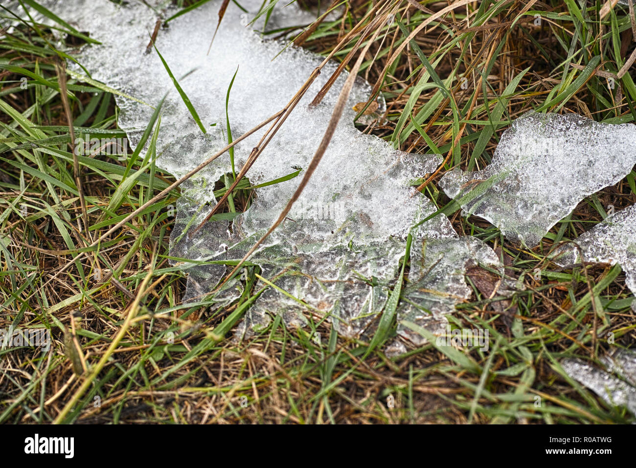 Grass and ice. Close up Stock Photo - Alamy