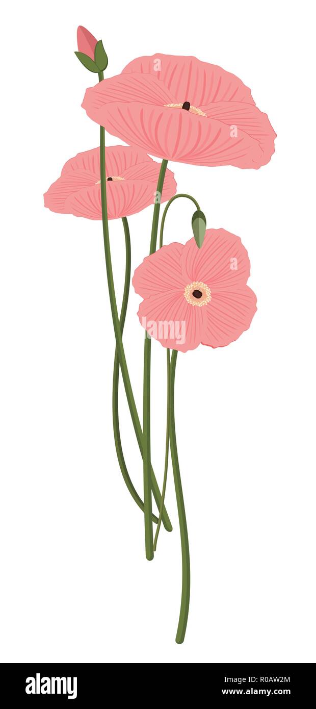 Poppy symbolism Stock Vector Images - Alamy