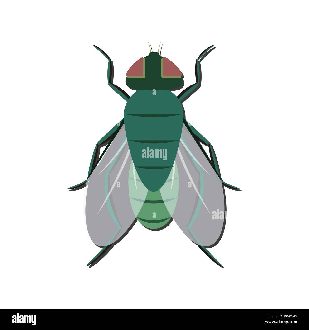 Nursery nature insect vector flies Stock Vector Image & Art - Alamy