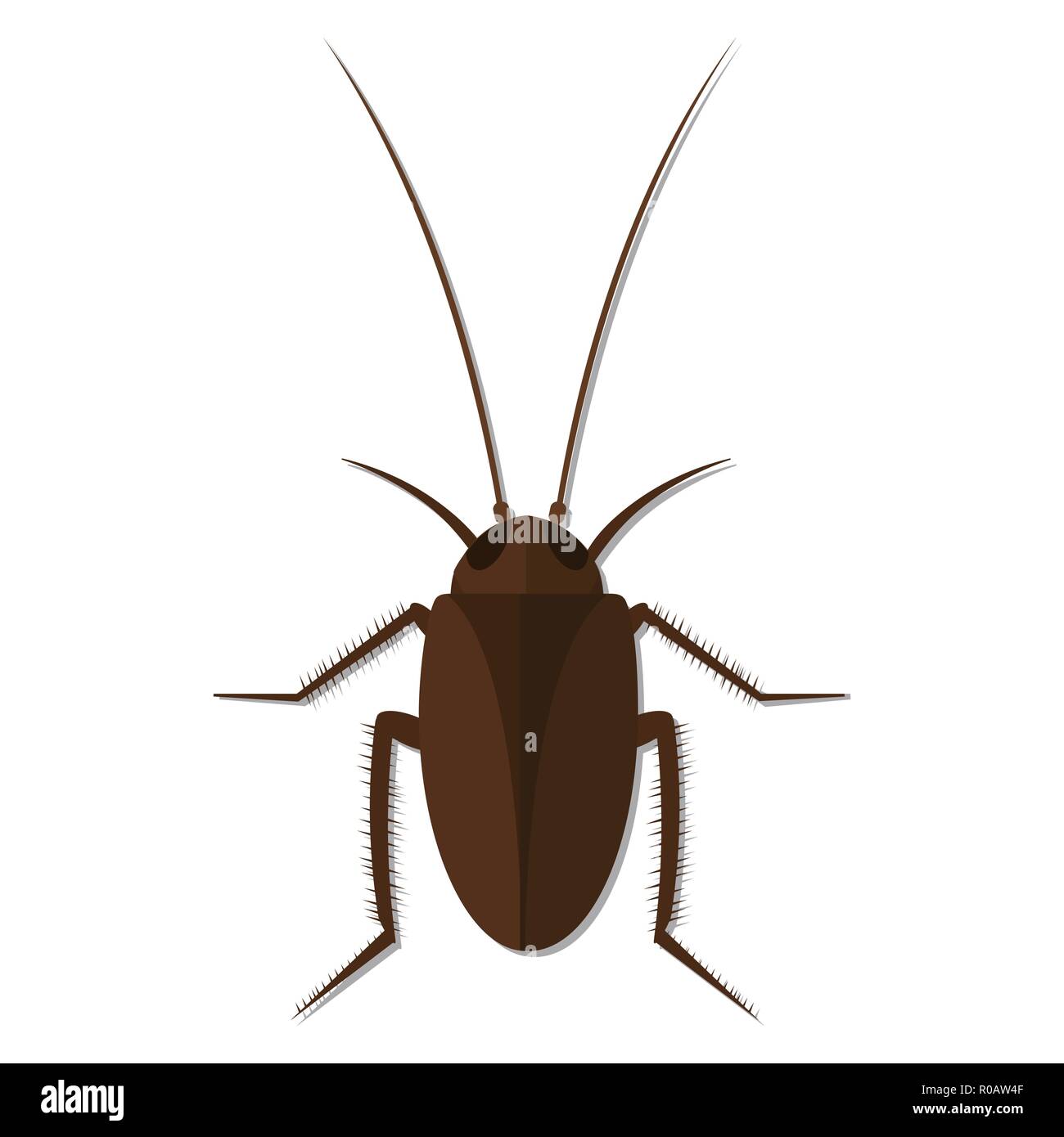 Nursery nature insect vector cockroach Stock Vector Image & Art - Alamy