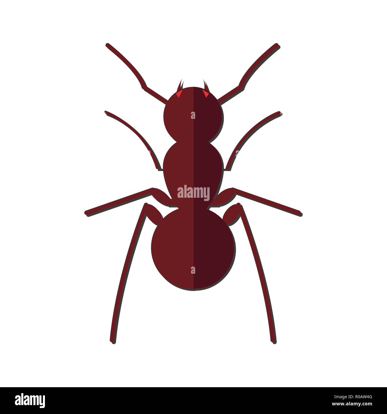 Ant nursery hi-res stock photography and images - Alamy