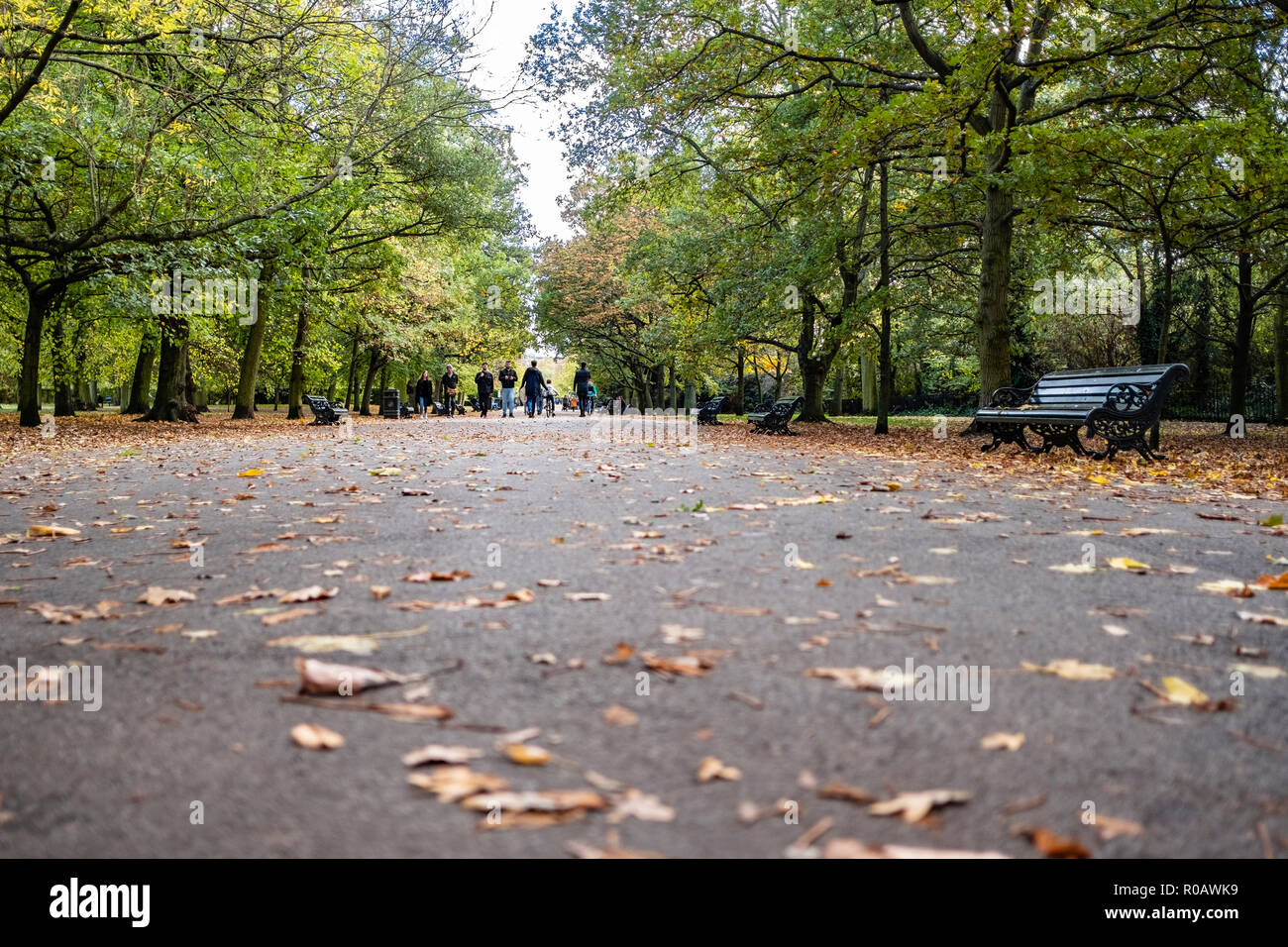 Regents Park, London, UK Stock Photo - Alamy
