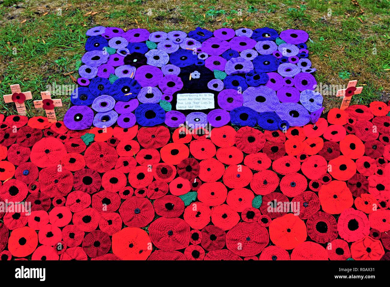 Taken to capture the centennial poopy display in the North Yorkshire ...