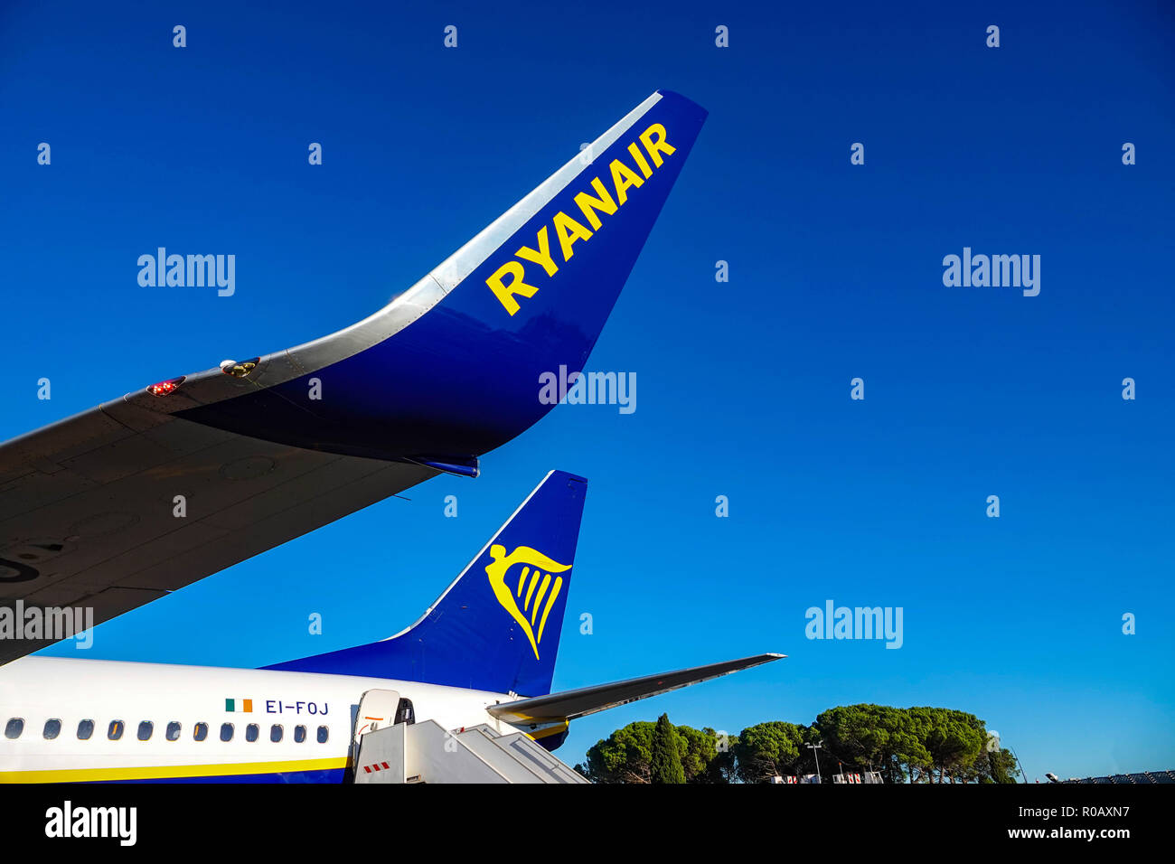 Tail logo hi-res stock photography and images - Alamy