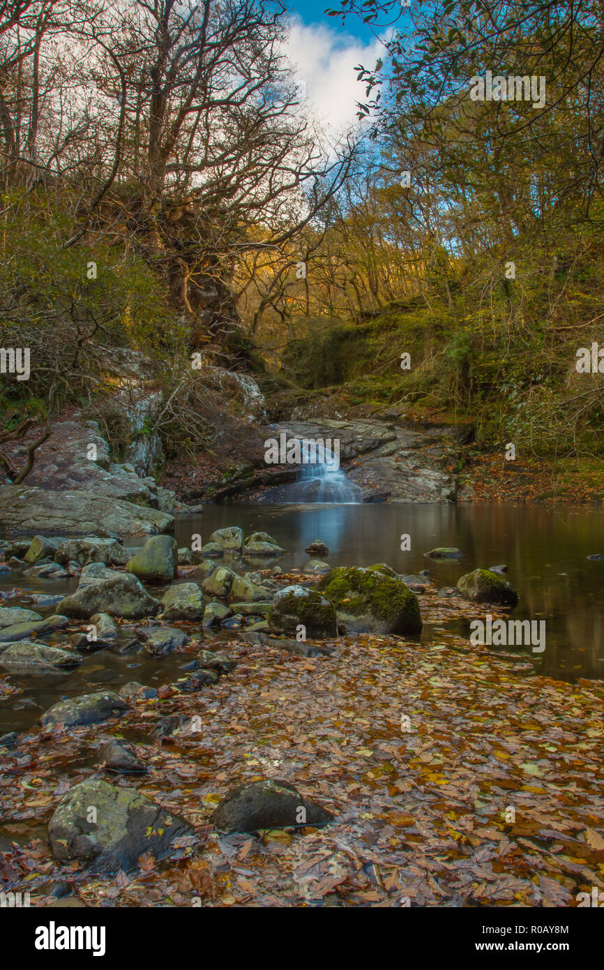 Waterfall on the river Prysor, Coed Felinrhyd, Wales, UK Stock Photo ...