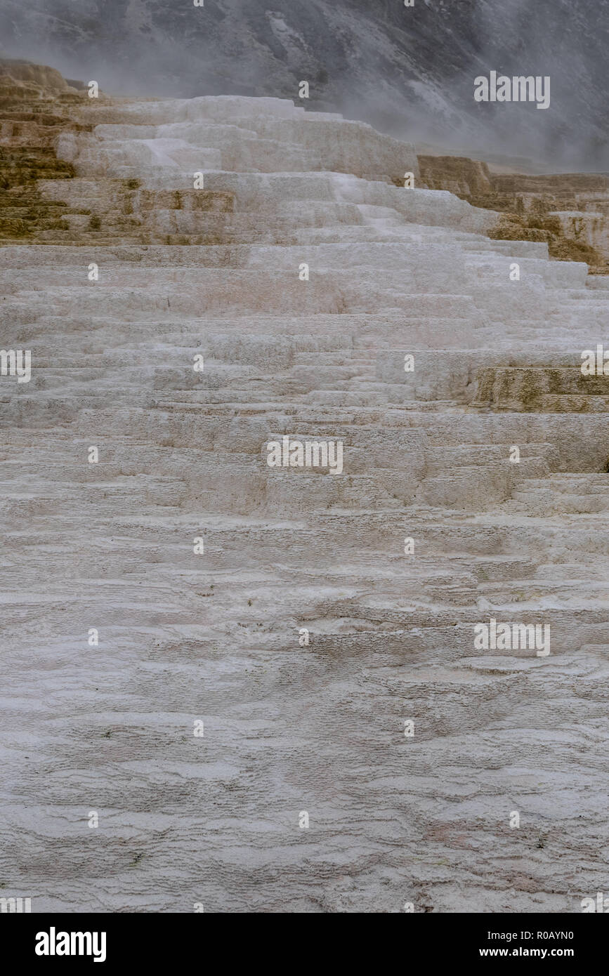 Detail of White Residue on Mammoth Hot Springs on foggy day Stock Photo ...