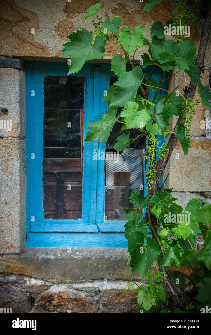 Branch window hi-res stock photography and images - Alamy