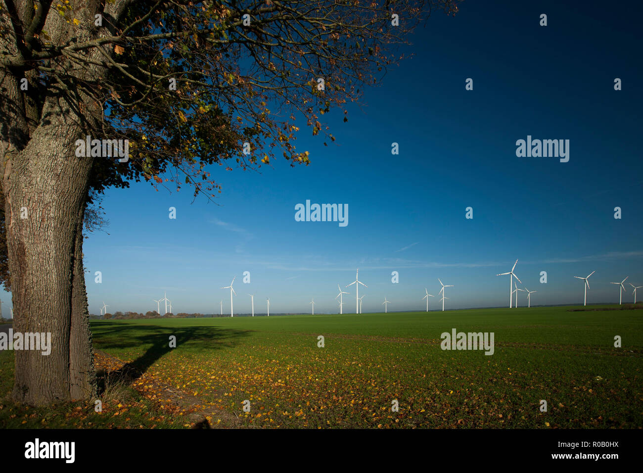 Wind turbine farm, North part of Poland Stock Photo - Alamy