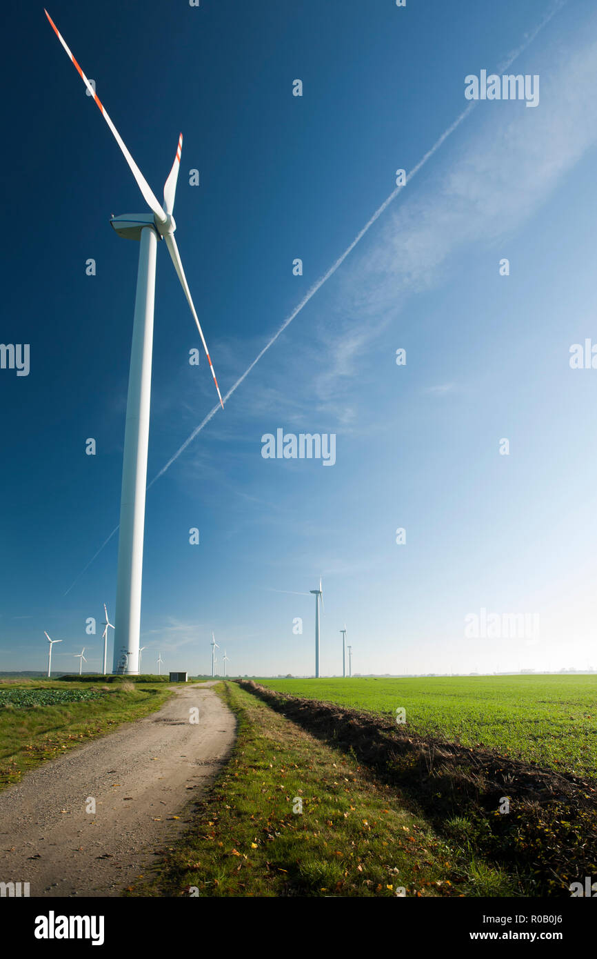 Wind turbine farm, North part of Poland Stock Photo - Alamy