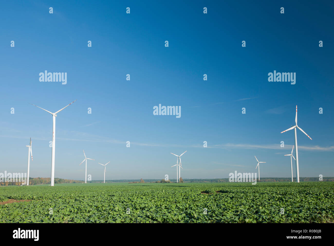 Wind turbine farm, North part of Poland Stock Photo - Alamy