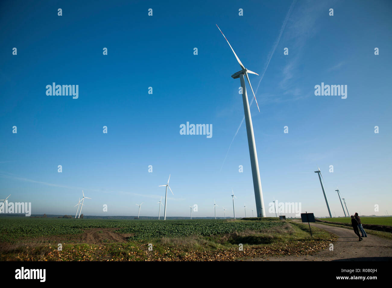 Wind turbine farm, North part of Poland Stock Photo - Alamy