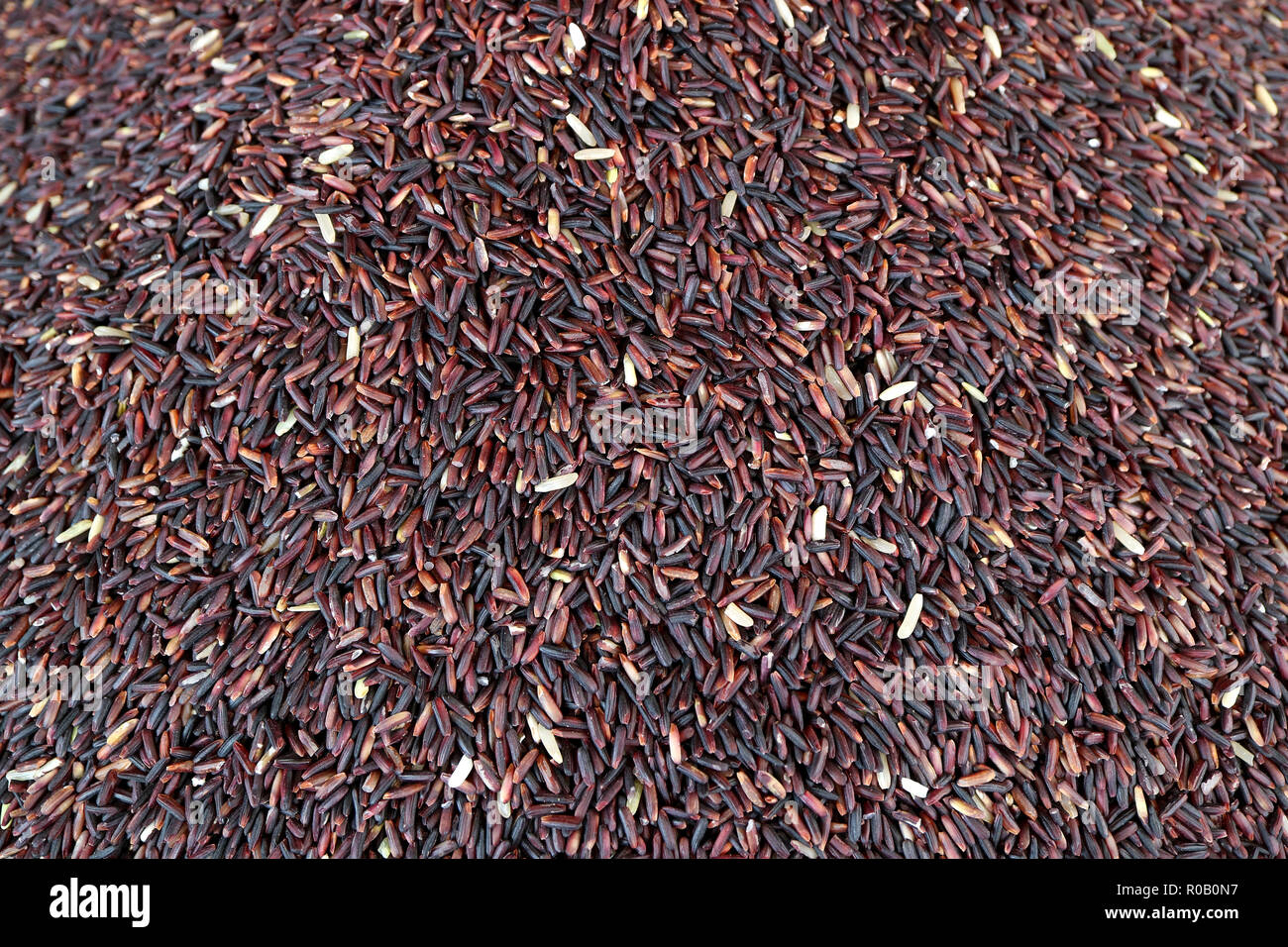 Top view of Uncooked Deep Purple Color Rice-berry Rice Grains for ...