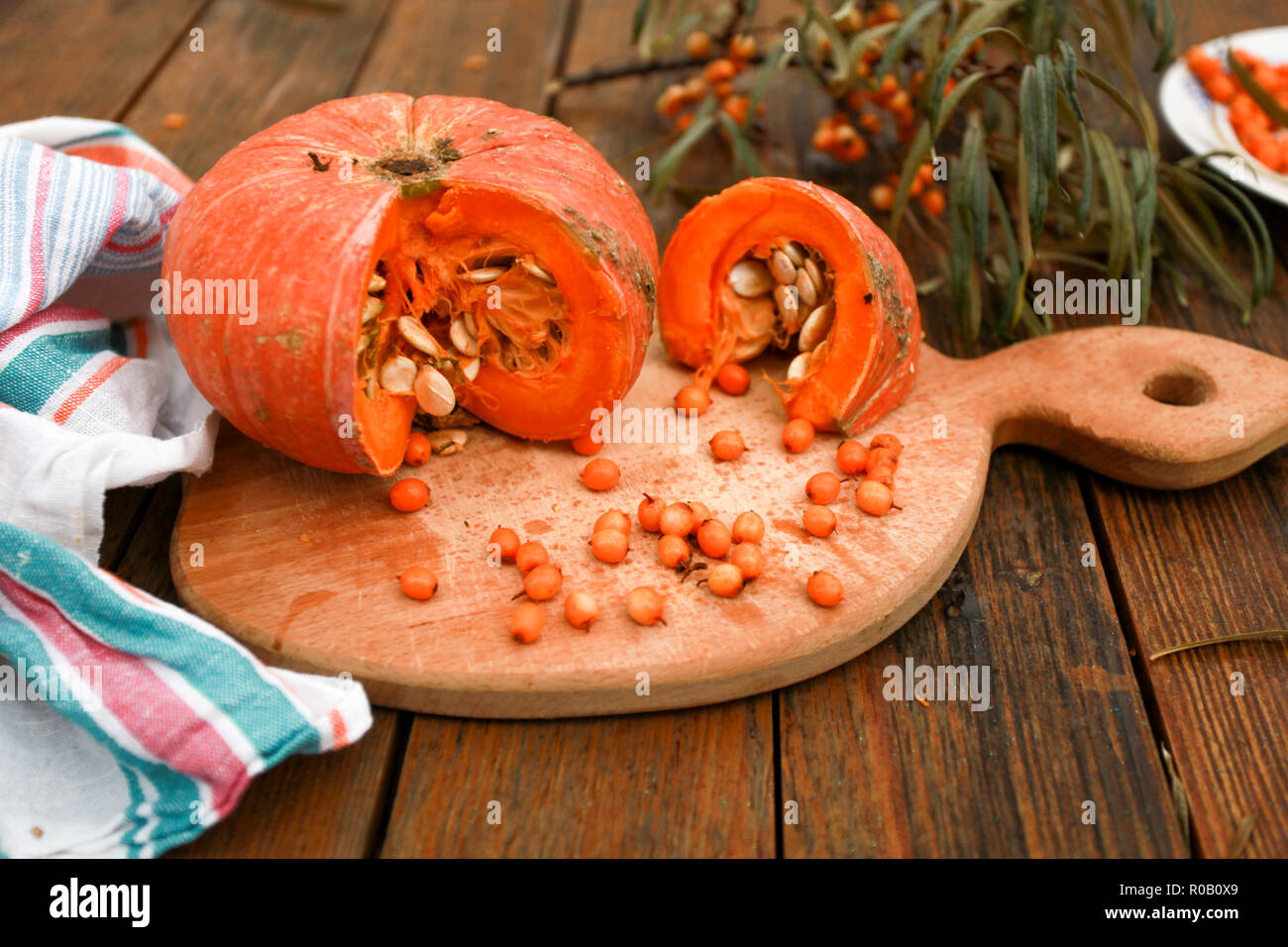 Pumpkin sea hi-res stock photography and images - Alamy