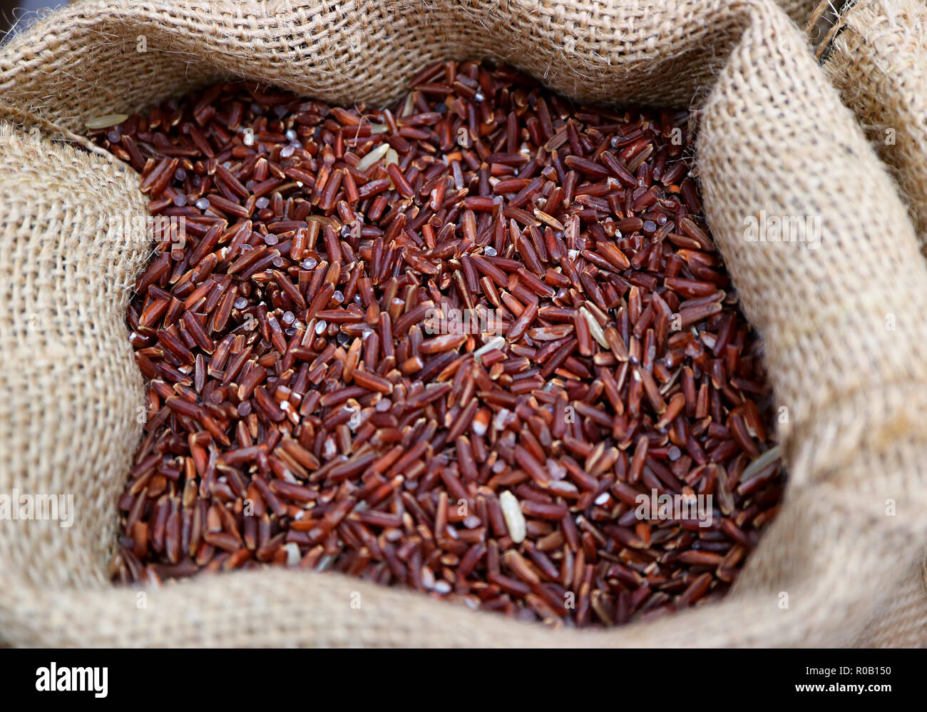 Heap of Uncooked Deep Purple Color Rice-berry Rice in a Natural Hemp ...