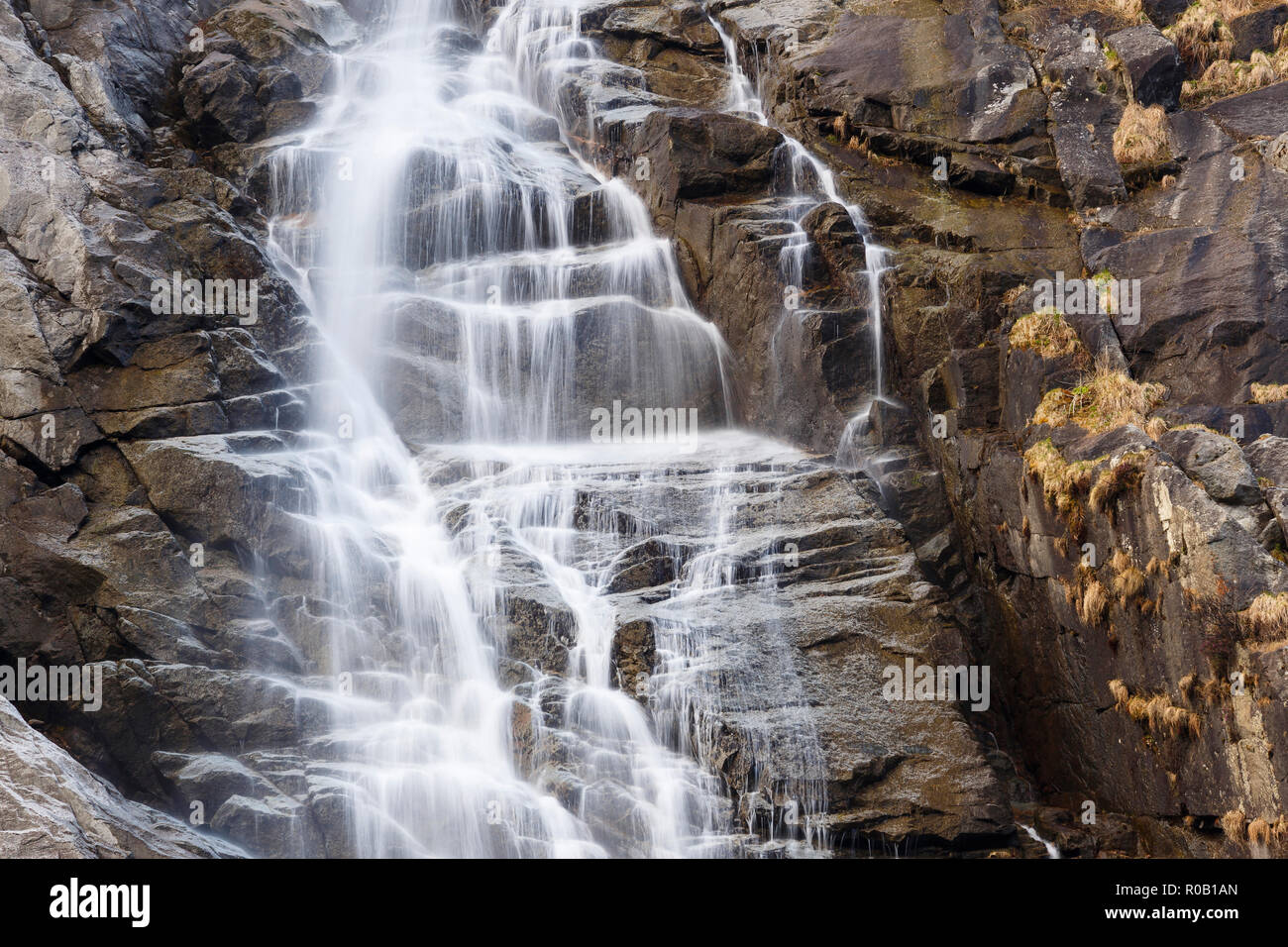 Nardis hi-res stock photography and images - Alamy