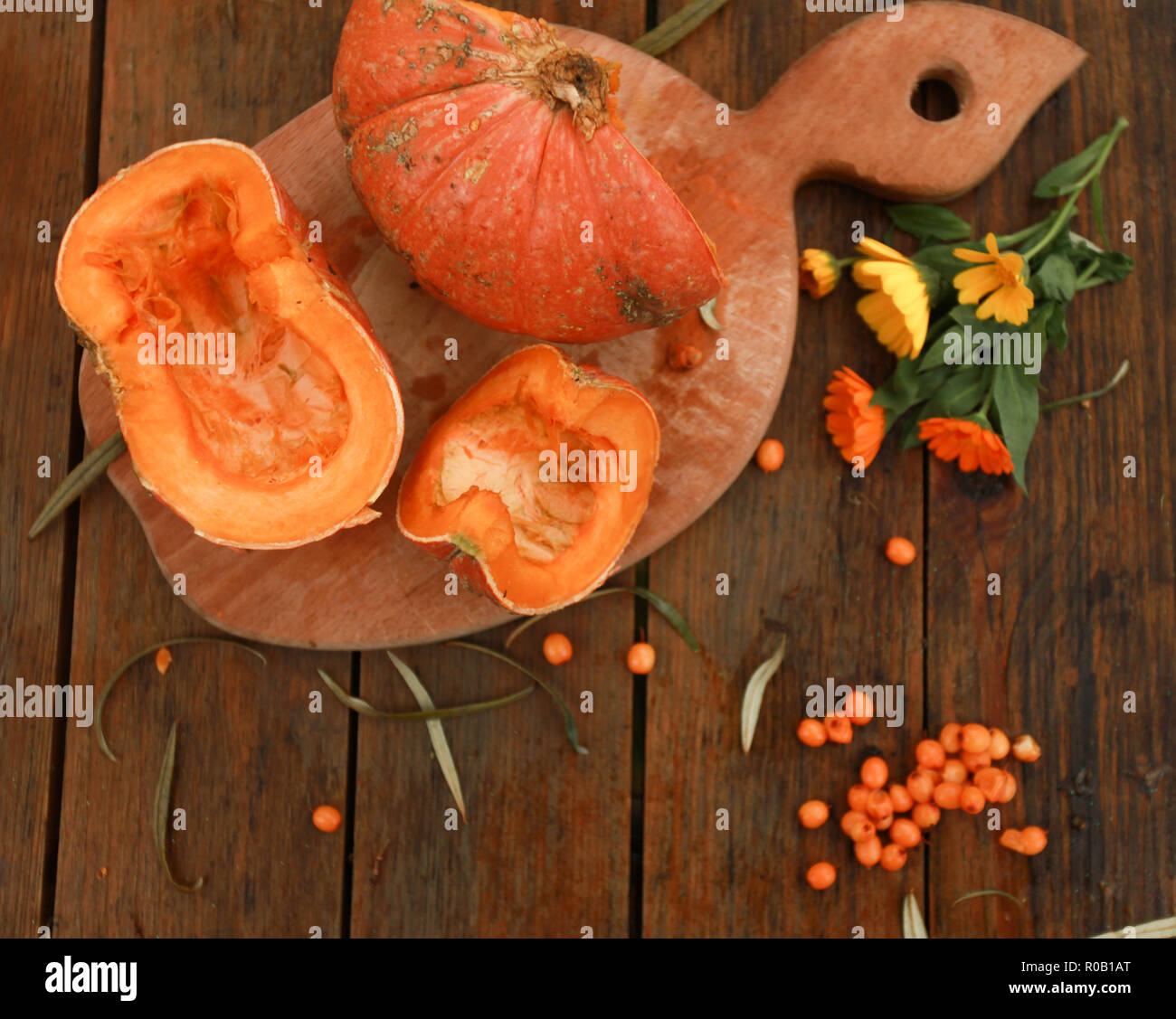 Pumpkin on picnic table in the fall Stock Photo - Alamy