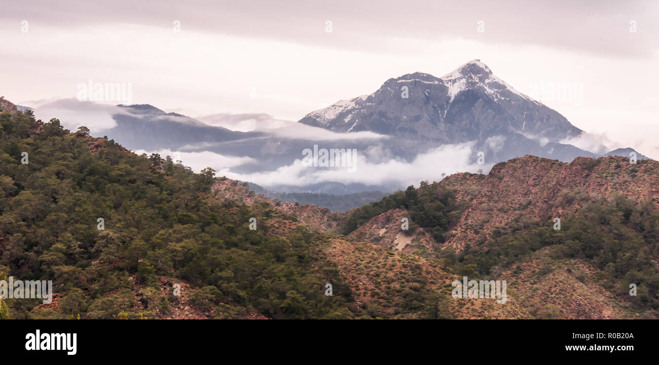 Jungle turkey hi-res stock photography and images - Alamy