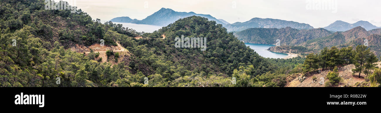 Jungle turkey hi-res stock photography and images - Alamy