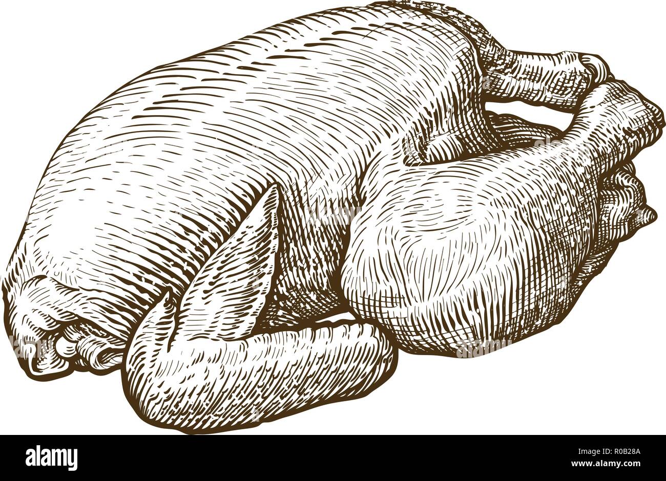 Chicken meat, broiler sketch. Food, butcher shop concept. Hand-drawn ...