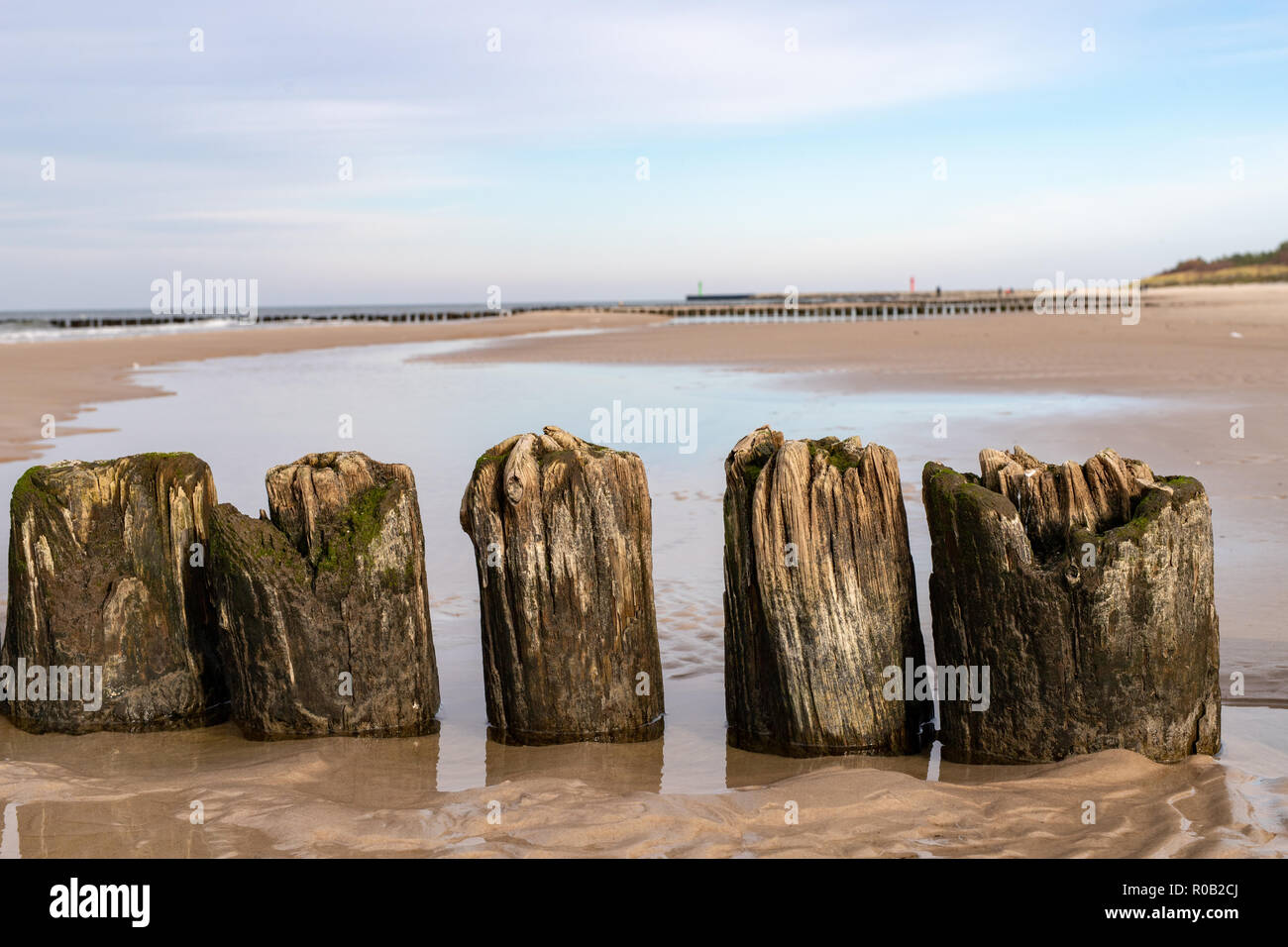 Old breakwater bollards on the sea beach. Coast in central europe ...