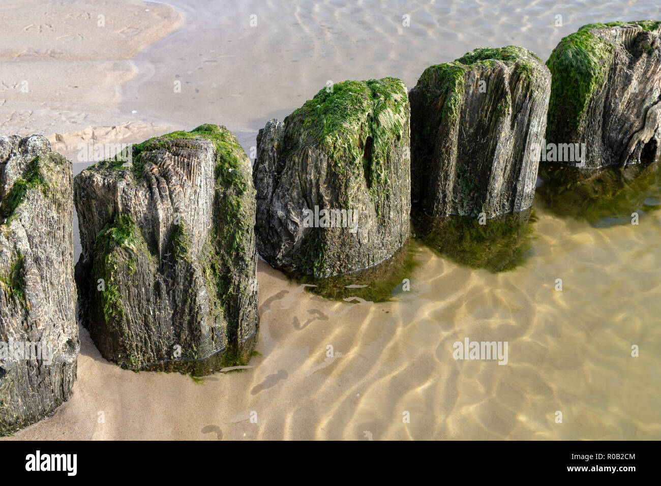 Old breakwater bollards on the sea beach. Coast in central europe ...