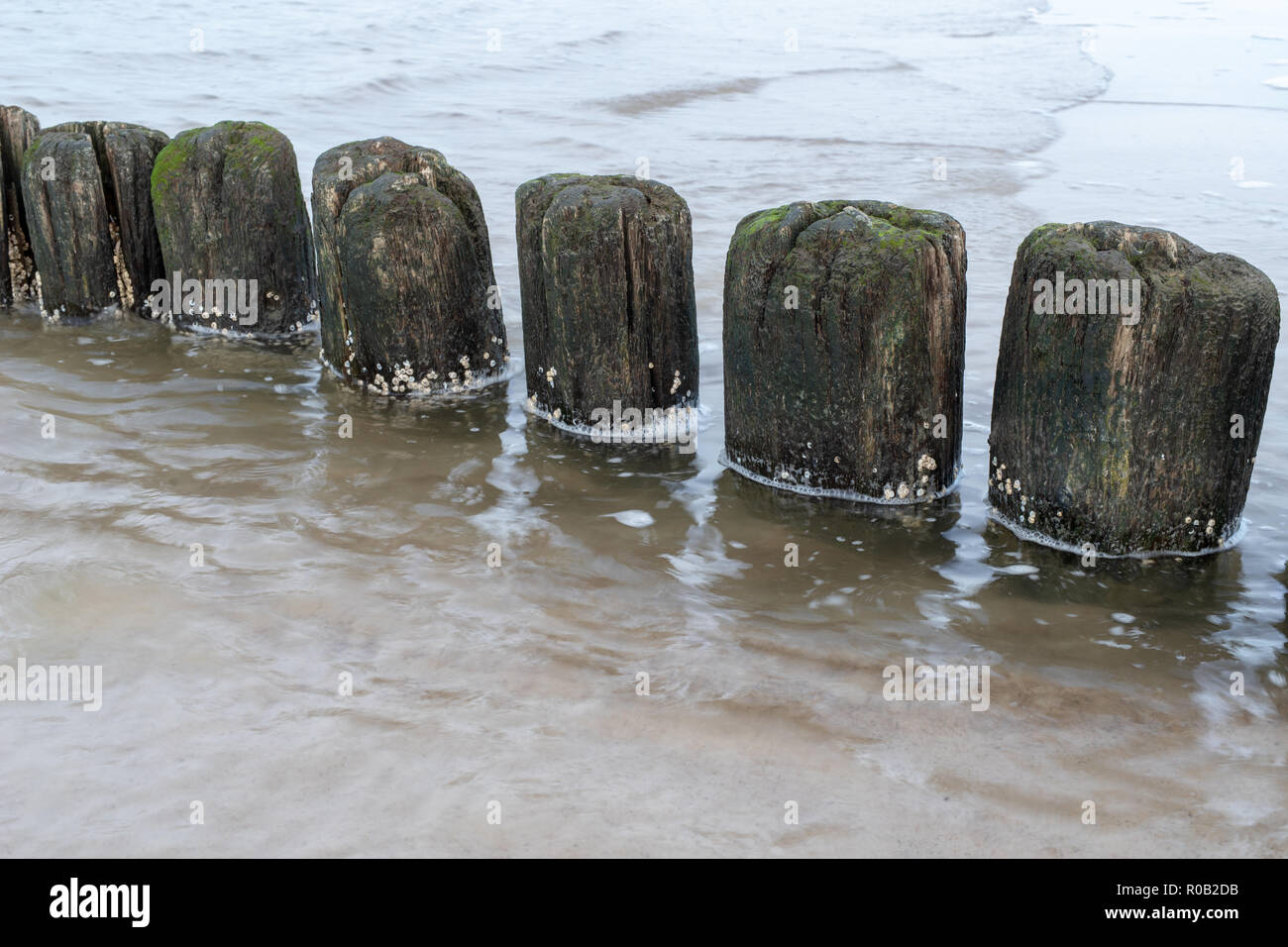 Old breakwater bollards on the sea beach. Coast in central europe ...