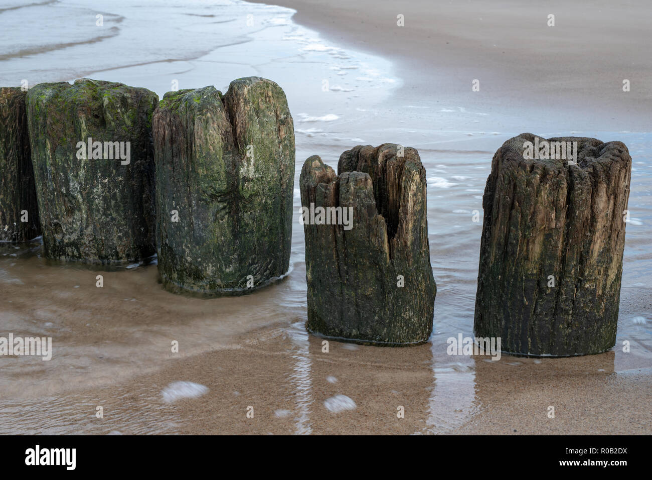 Old breakwater bollards on the sea beach. Coast in central europe ...