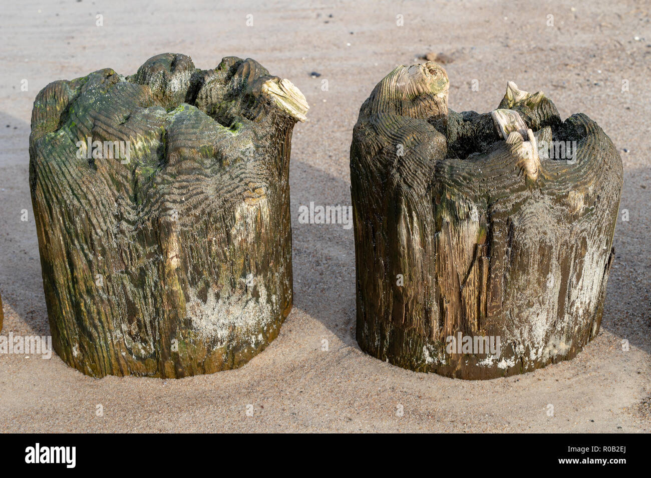 Old breakwater bollards on the sea beach. Coast in central europe ...