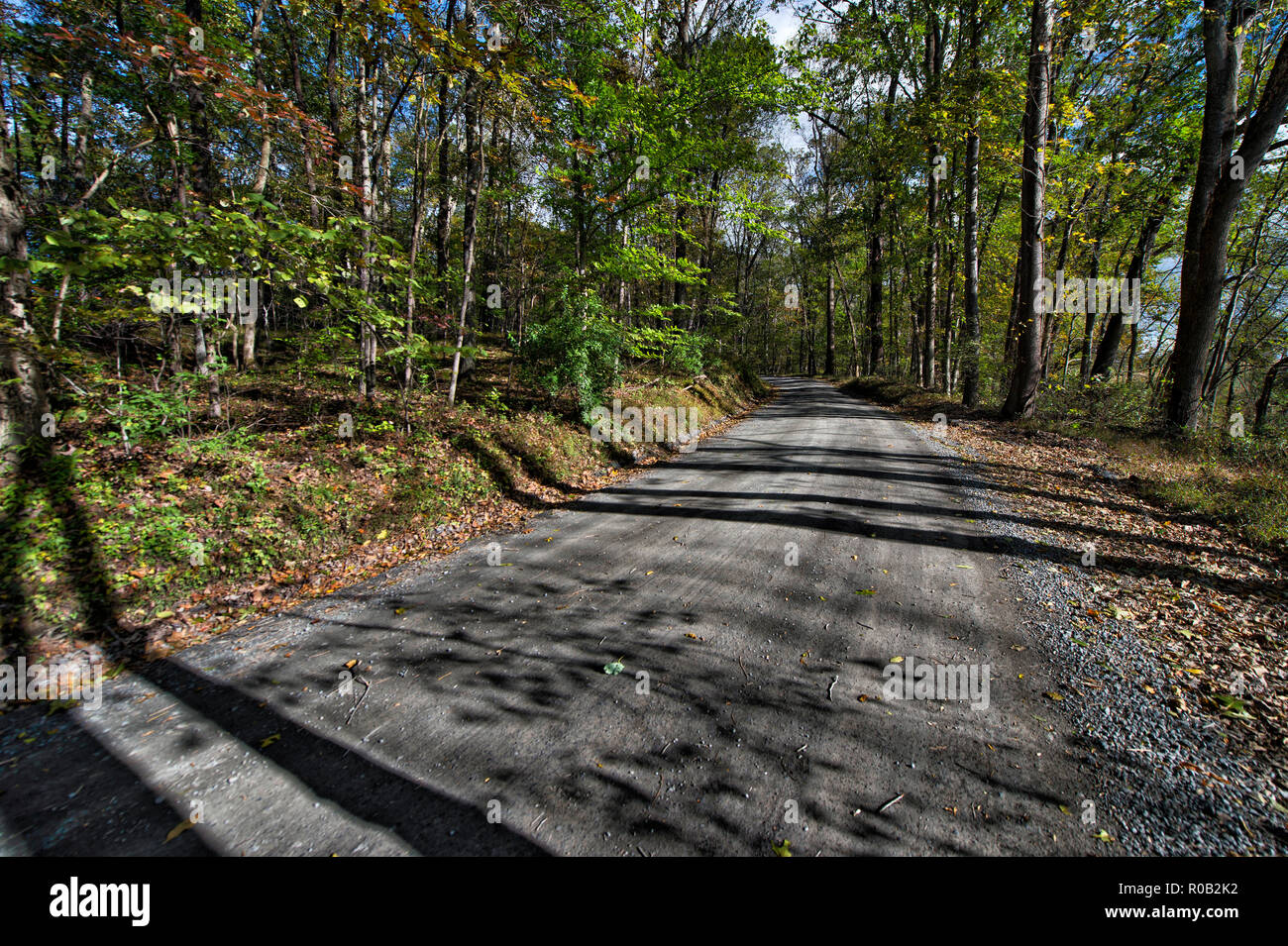 Glebe road hi-res stock photography and images - Alamy