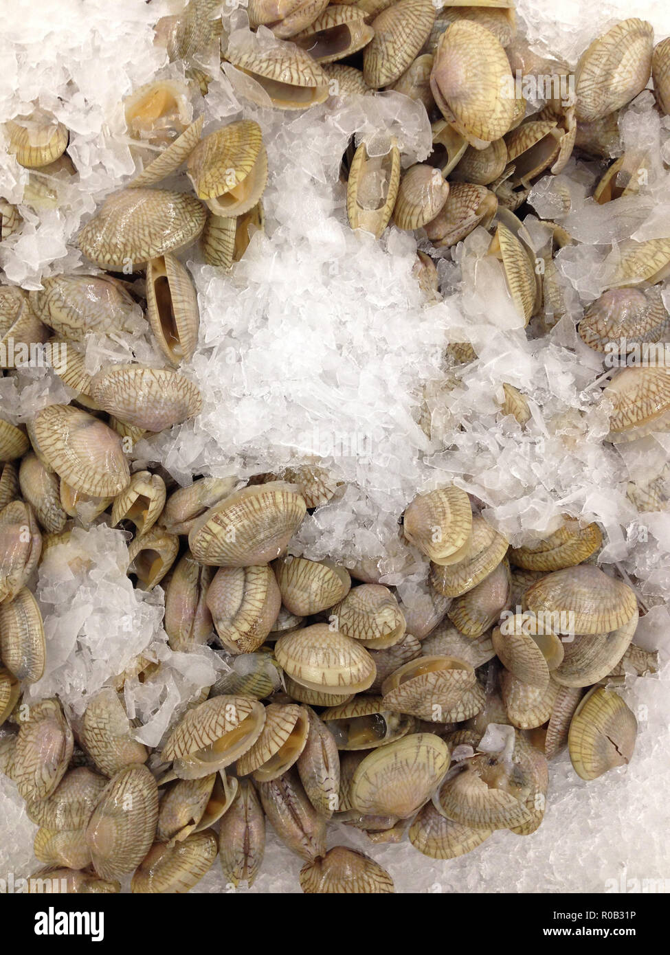 Buy shellfish hi-res stock photography and images - Alamy