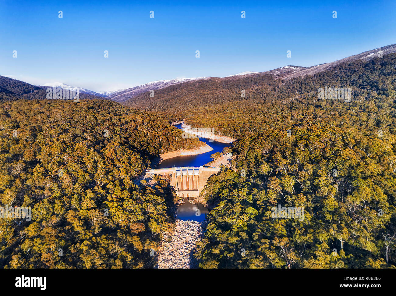 Snowy Mountains Snowy river blocked by Guthega dam in thick evergreen ...