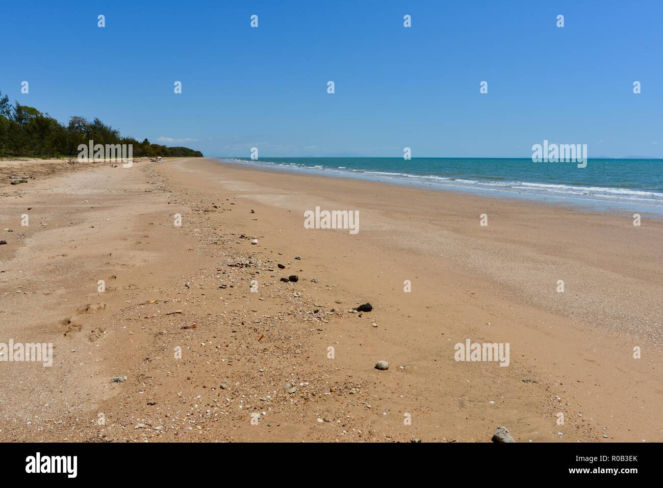 A wide open beach with a feeling of freedom, Balgal beach, QLD ...