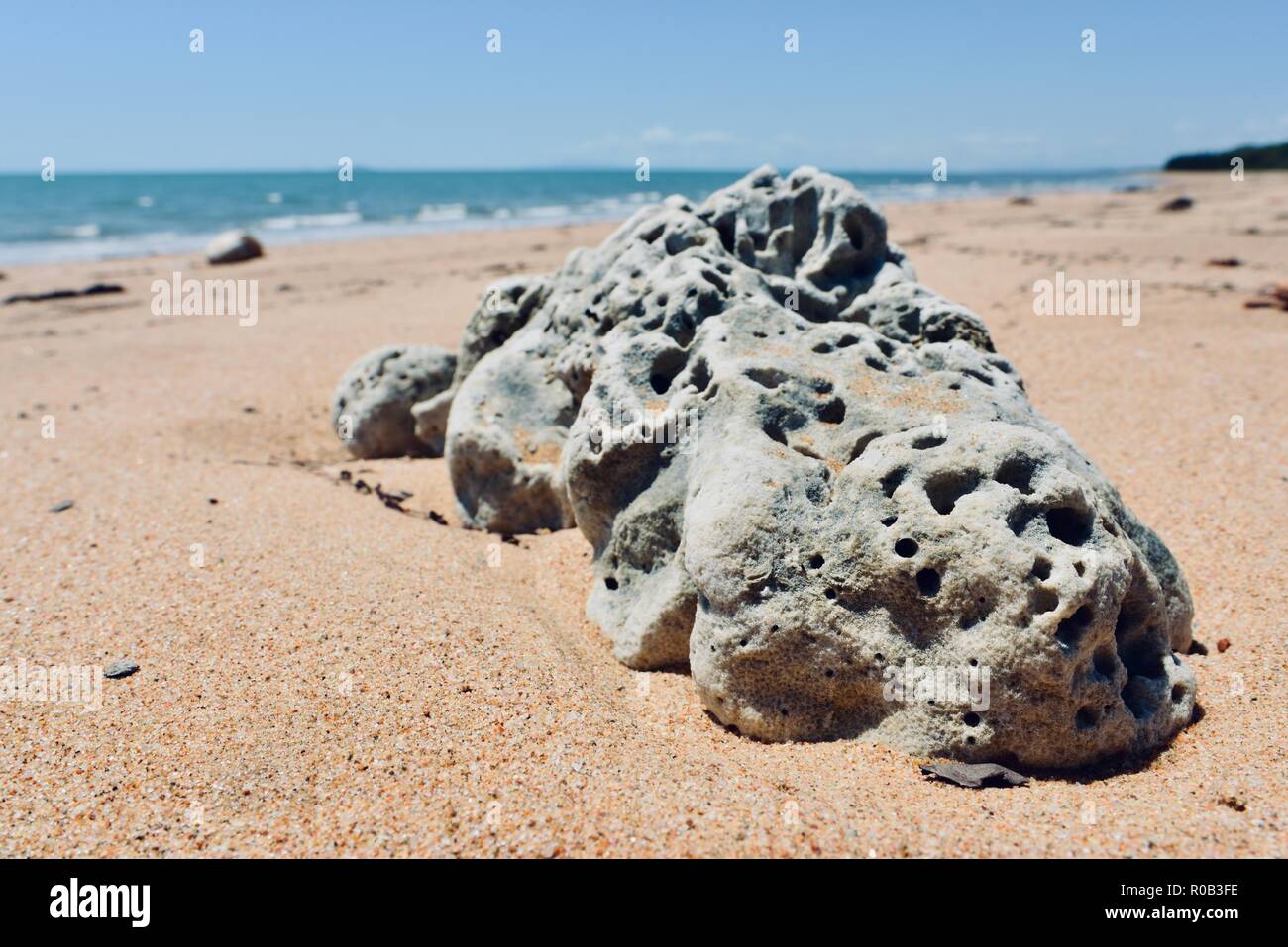 Dead coral on a beach, Balgal beach, QLD, Australia Stock Photo - Alamy