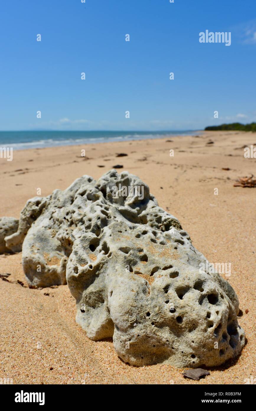 Changing climate and its effect on coral reefs hi-res stock photography ...