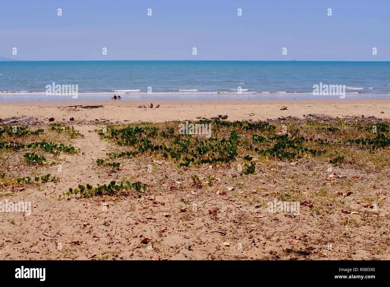 Balgal beach, QLD, Australia Stock Photo - Alamy